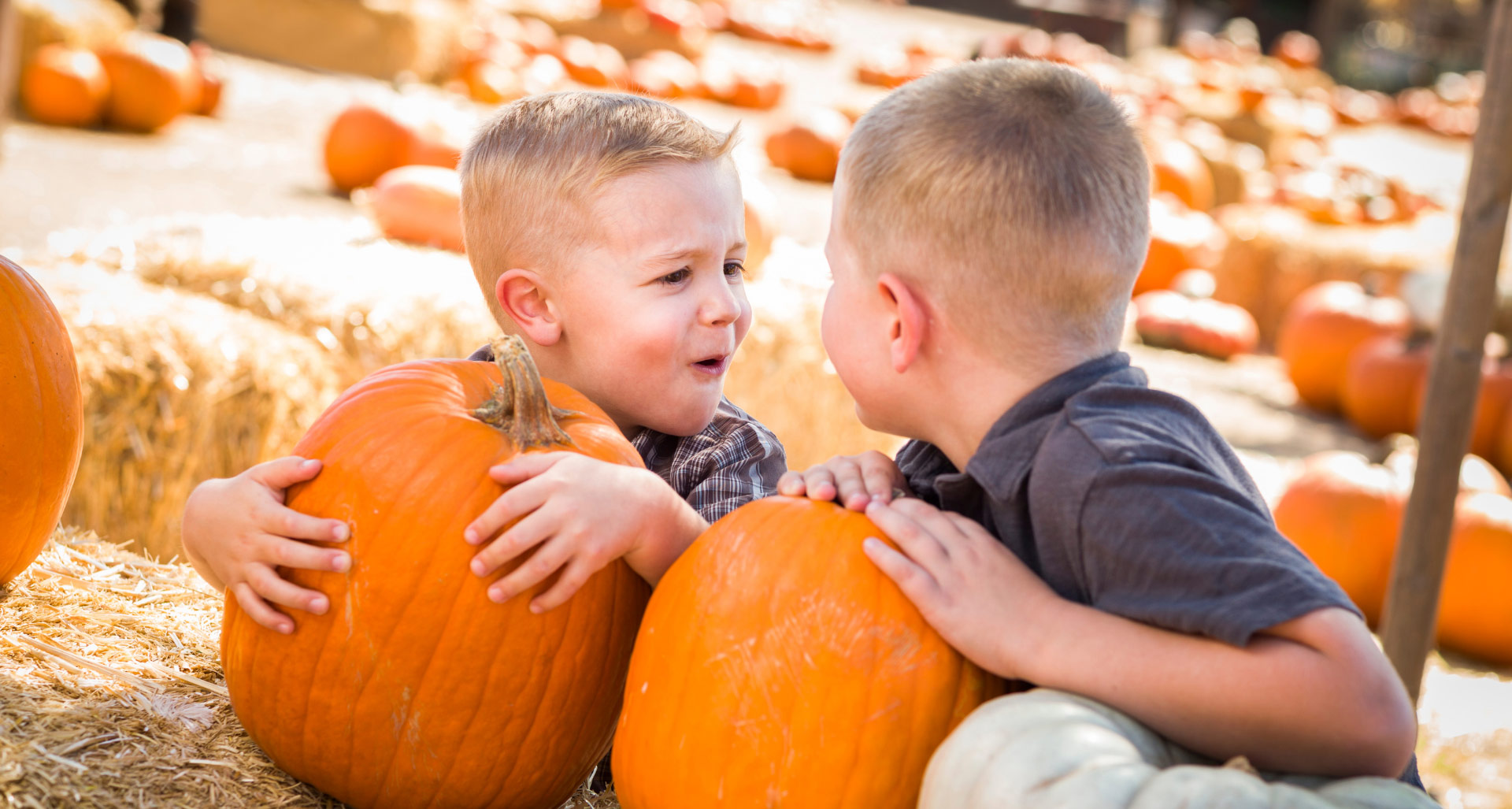 Things to do in Atlanta this Fall - Lennar Resource Center